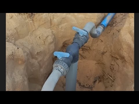 دعم خط مواسير لرى أشجار المانجو. Support a Water Pipe System for ...
