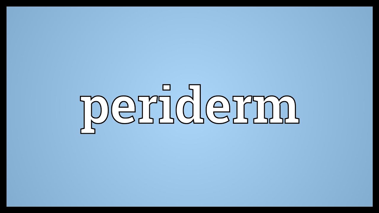 Periderm Meaning - YouTube