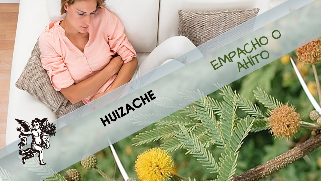 Aprende a curar el EMPACHo con HUIZACHE - YouTube