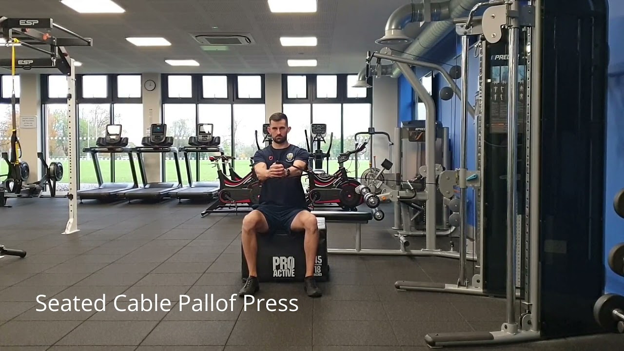 Seated Cable Pallof Press - YouTube