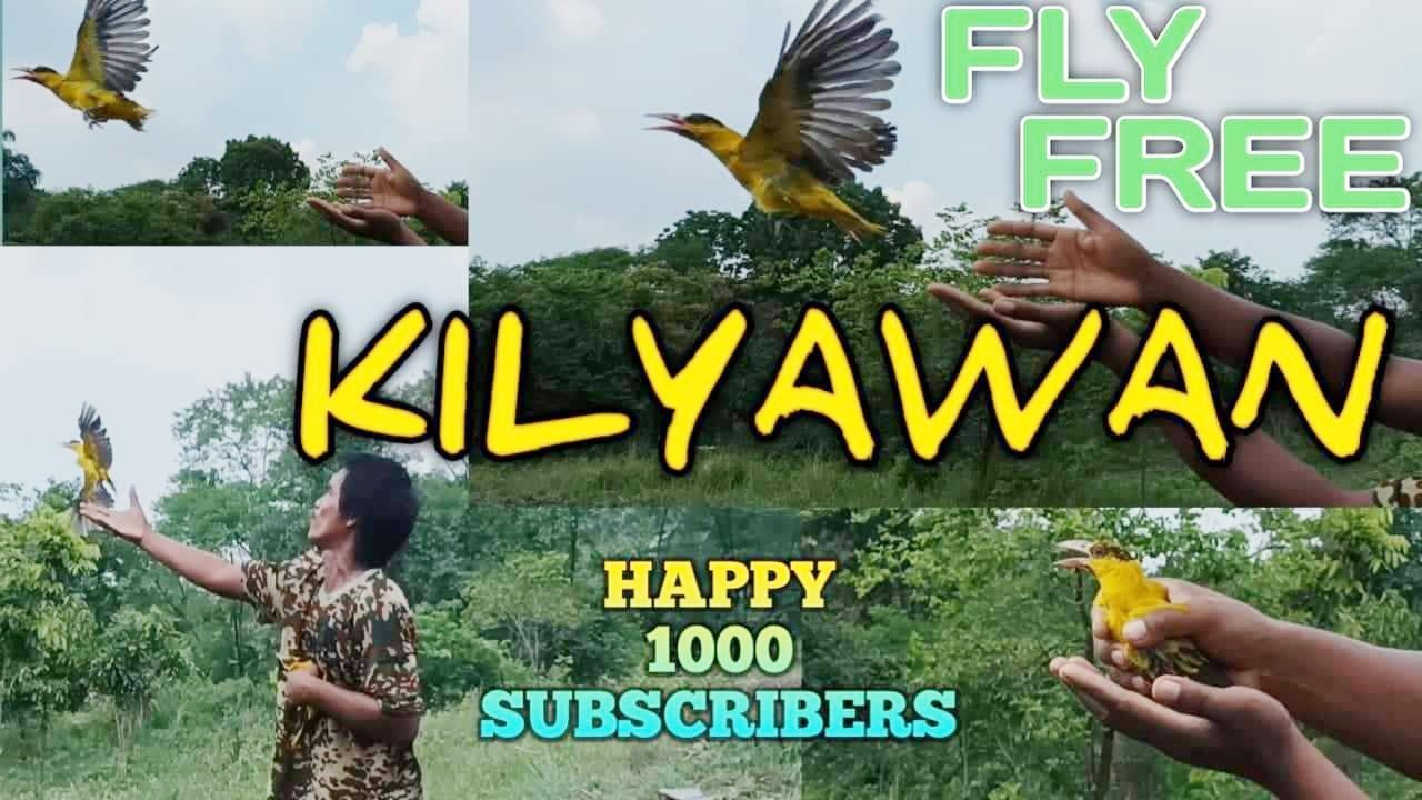 kilawan/ PAGPAPALAYA sa mga huling kilyawan/ My THANKFUL Birthday ...