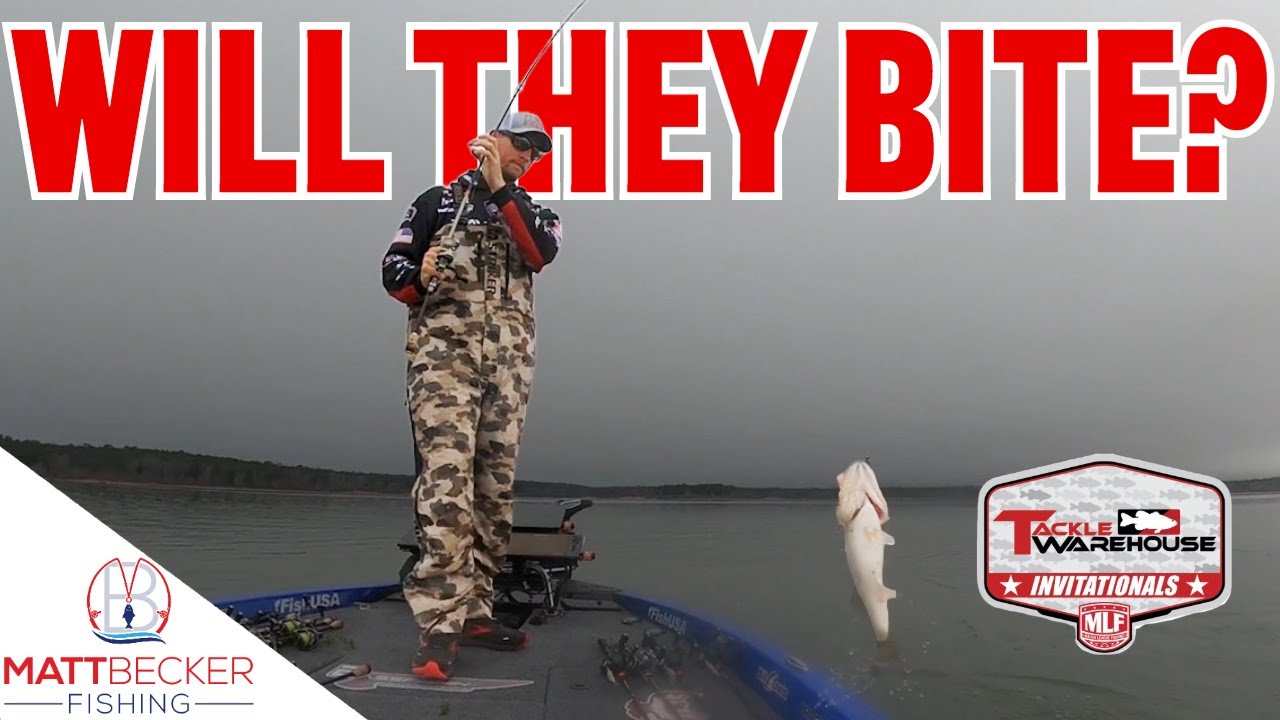 SAM RAYBURN - MLF Invitational Stop #1 (Championship Day) - YouTube