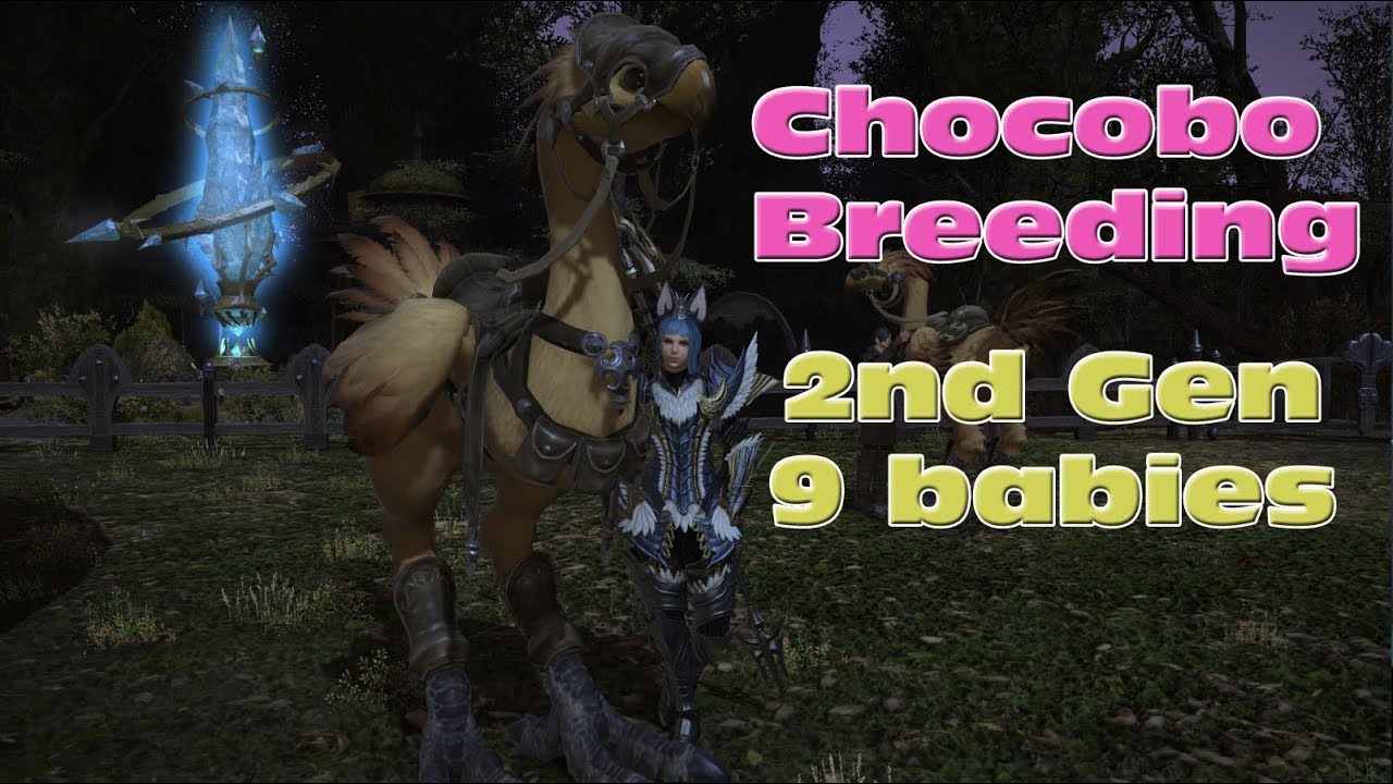 2nd Gen - Chocobo Breeding for the Perfect Bird - FF14 - YouTube