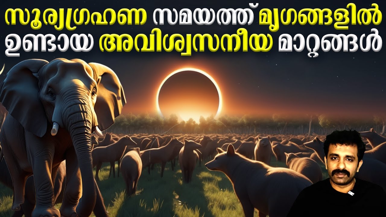Its Really Shocking: Total Solar Eclipse & Animals || Bright Keralite - YouTube
