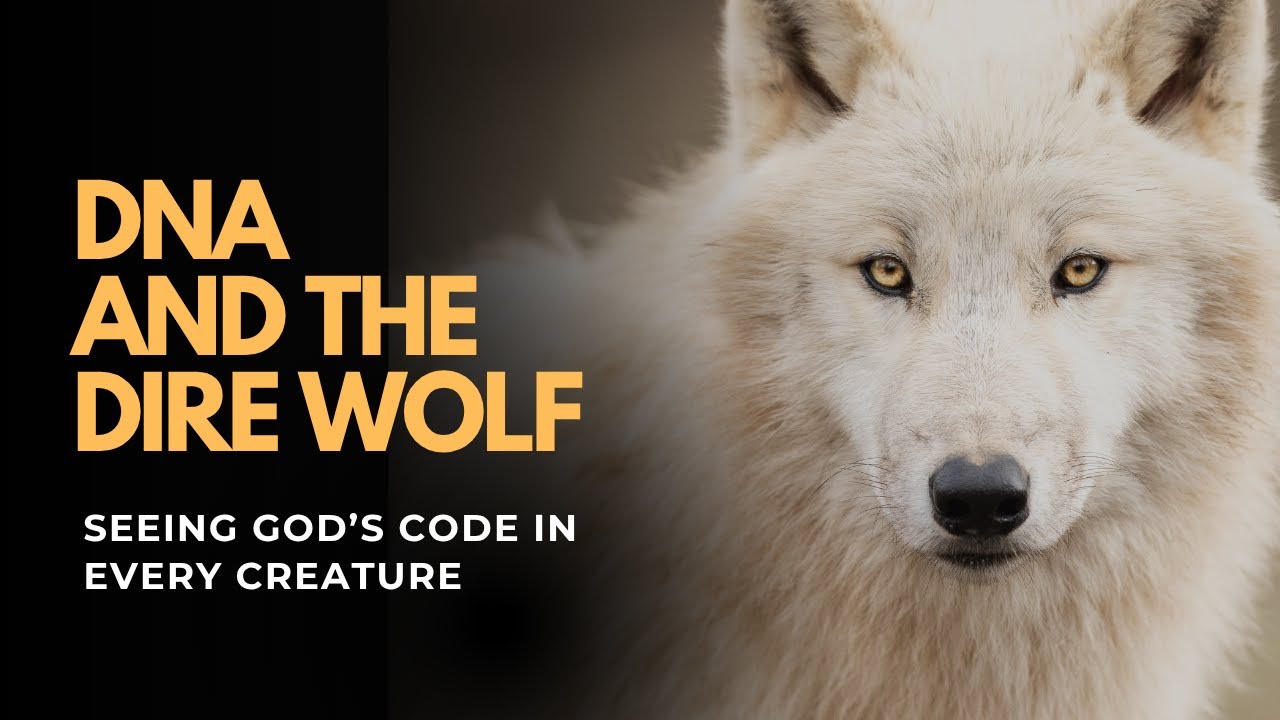 Dire Wolves, DNA and God's Design - YouTube
