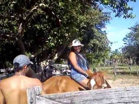 tentando subir no cavalo