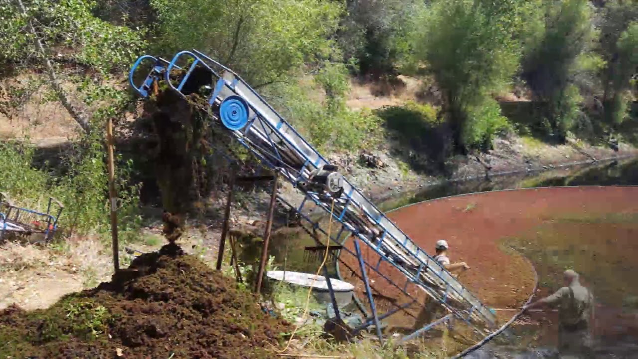 Sonora CA, harvesting azolla - YouTube