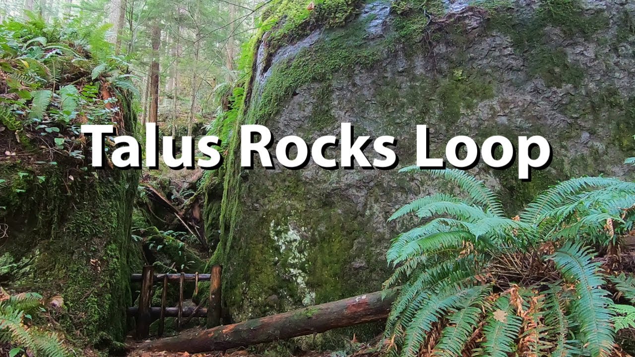 Talus Rocks Loop - Tiger Mountain Adventure - YouTube