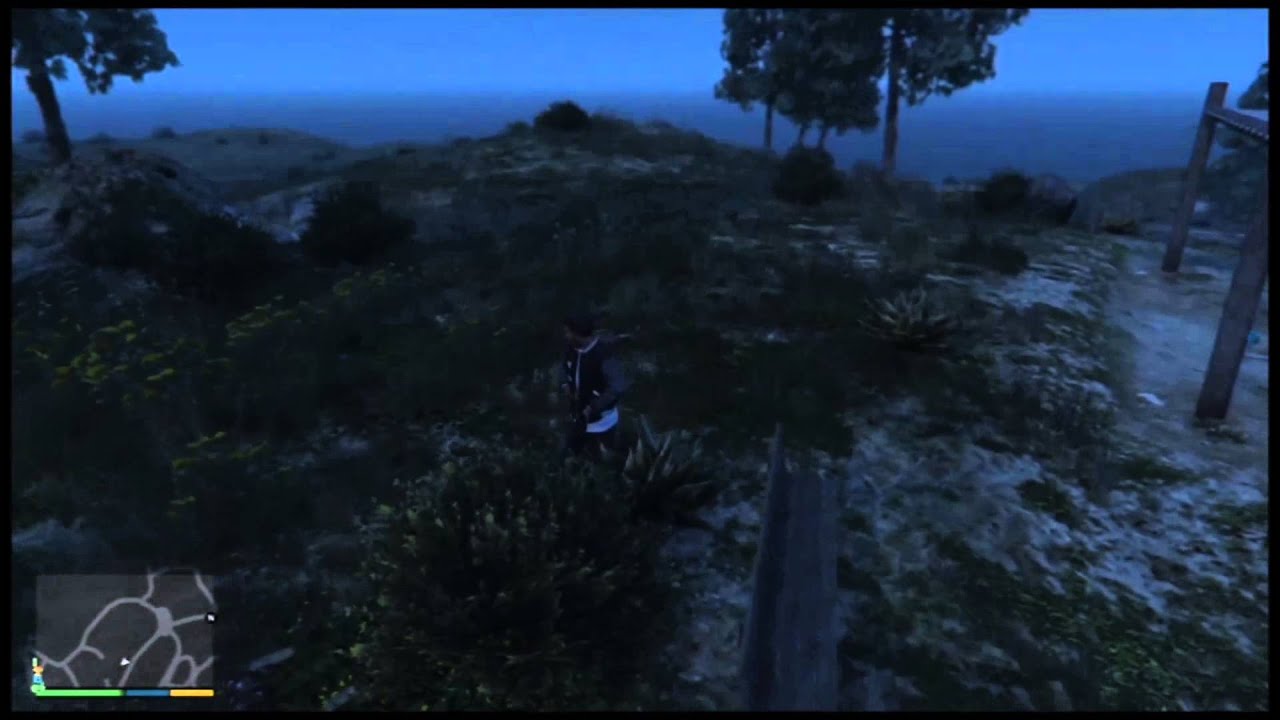 GTA 5 - Peyote Location #2 Franklin Turns into a Rabbit! Easter Egg ...