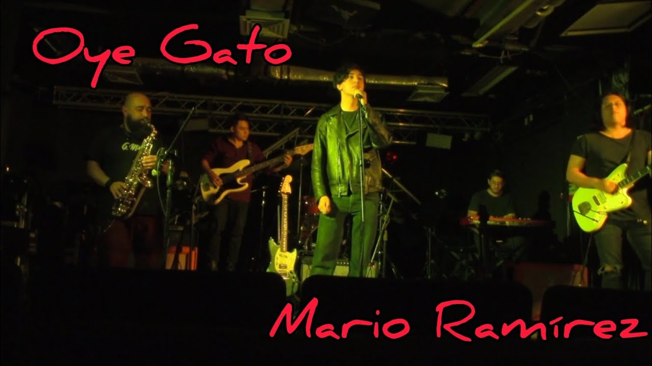 Oye Gato - Mario Ramírez (Cover) - YouTube