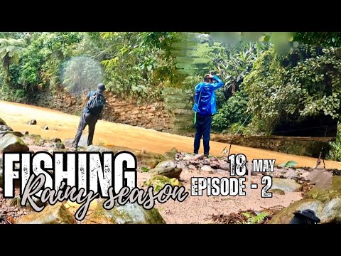 Rainy day fishing #EPISODE - 2 #First season fishing #Muddy river ...