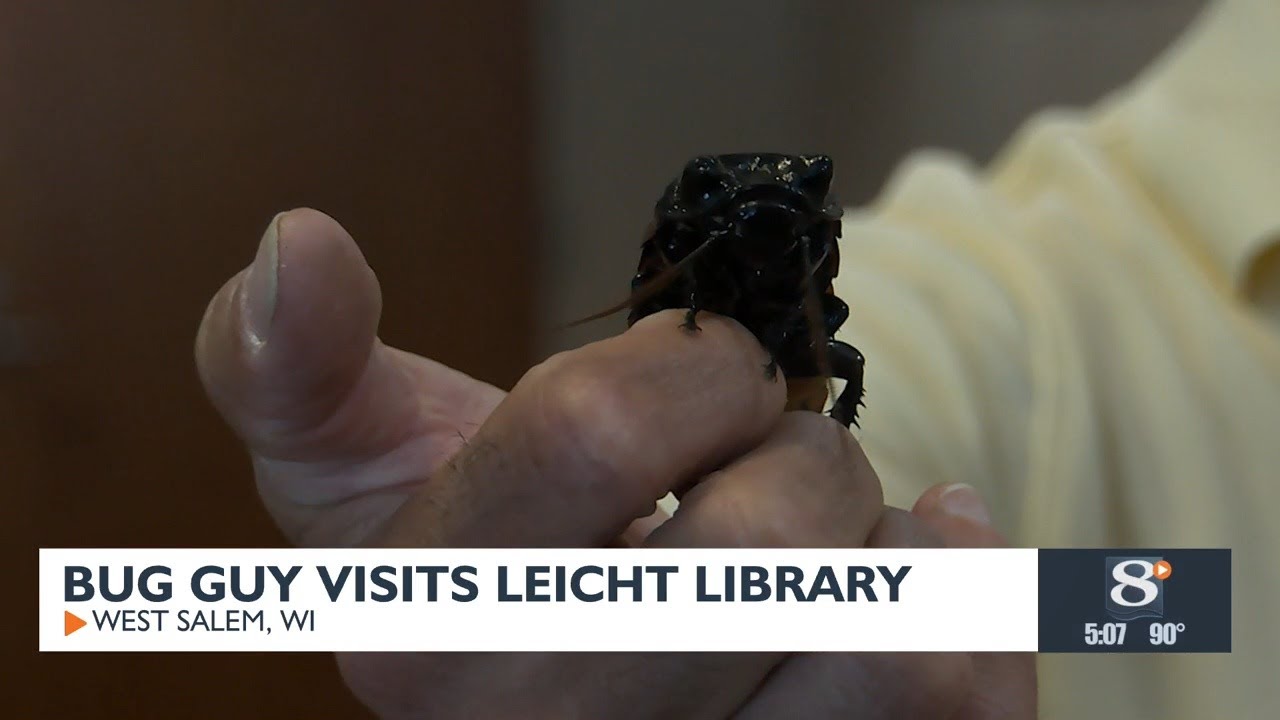 Bug Guy Visits Leicht Library - YouTube