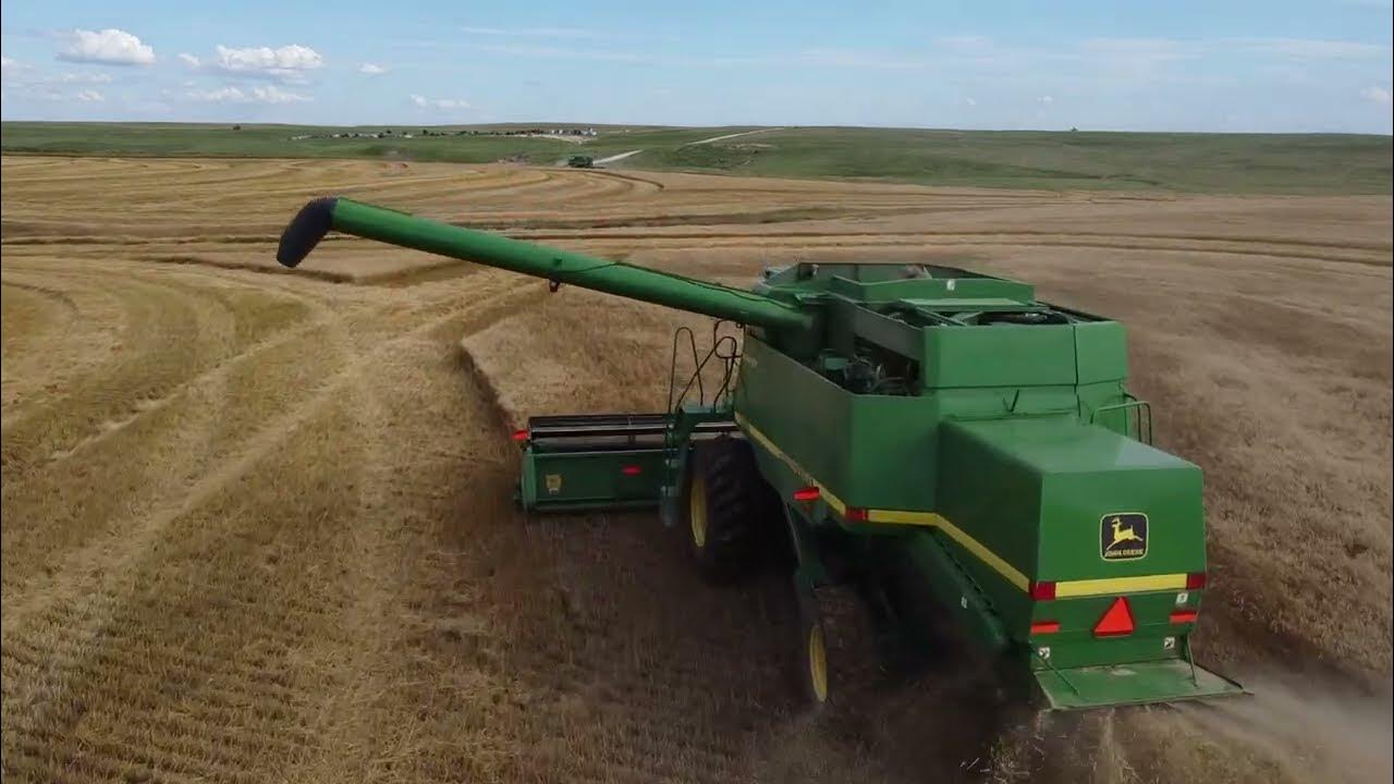 Wheat Harvest 2024 - YouTube