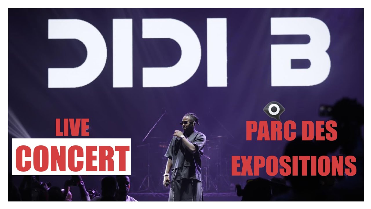 DIDI B L’ENTRÉE SPECTACULAIRE À SON CONCERT LIVE #didib - YouTube
