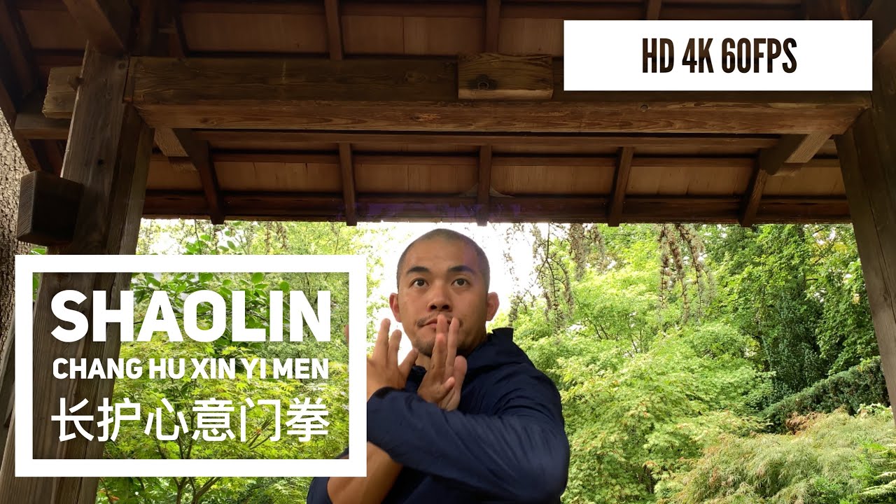 Chang Hu Xin Yi 少林长护心意门拳 - YouTube