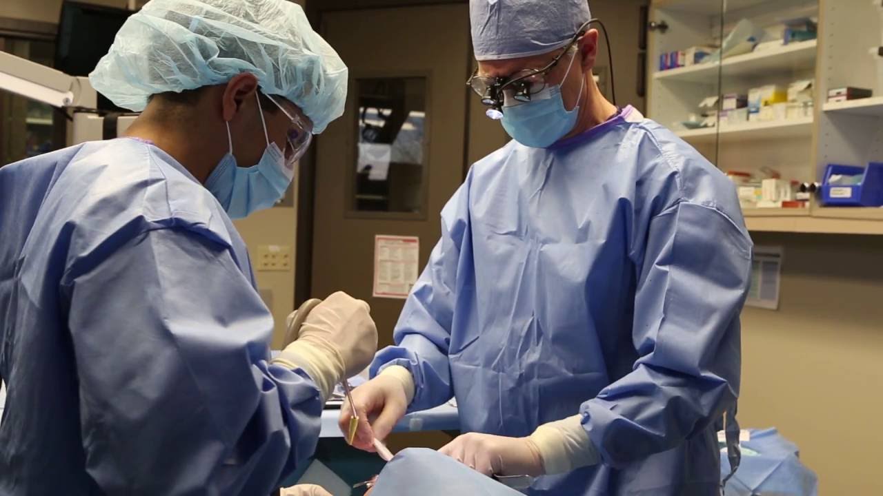 Oral and Maxillofacial Surgery Description Thomas Faerber DDS, MD, FACS ...