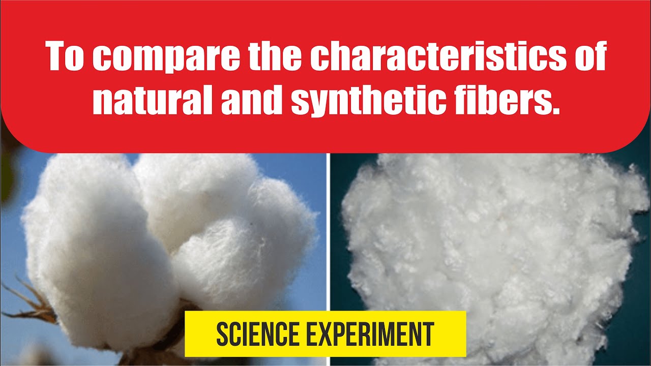 To compare the characteristics of natural and synthetic fibers - YouTube