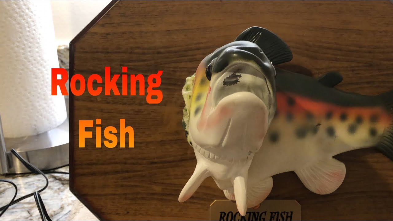 ‘Rocking Fish’ Singing Trout - YouTube