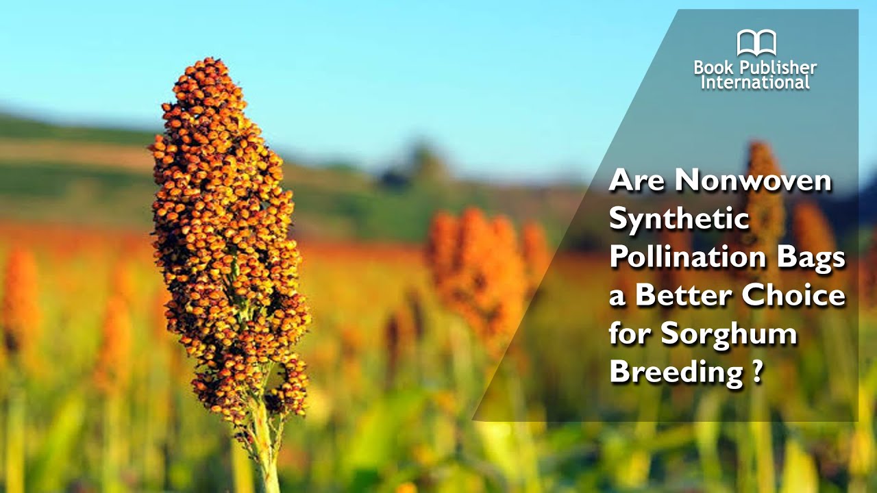 Are Nonwoven Synthetic Pollination Bags a Better Choice for Sorghum ...