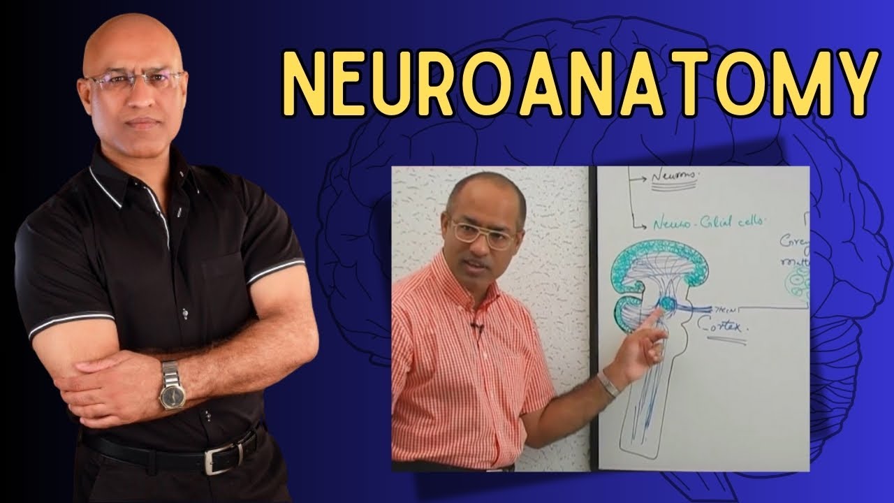 Neuroanatomy | Neurology | Neuroscience | Dr Najeeb - YouTube