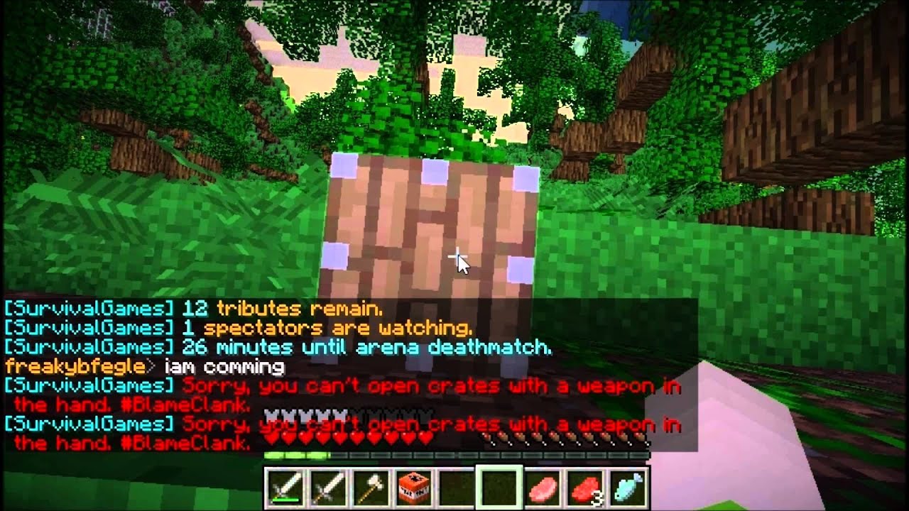 Minecraft: Hunger Games Survival games/ I win!!!!! - YouTube
