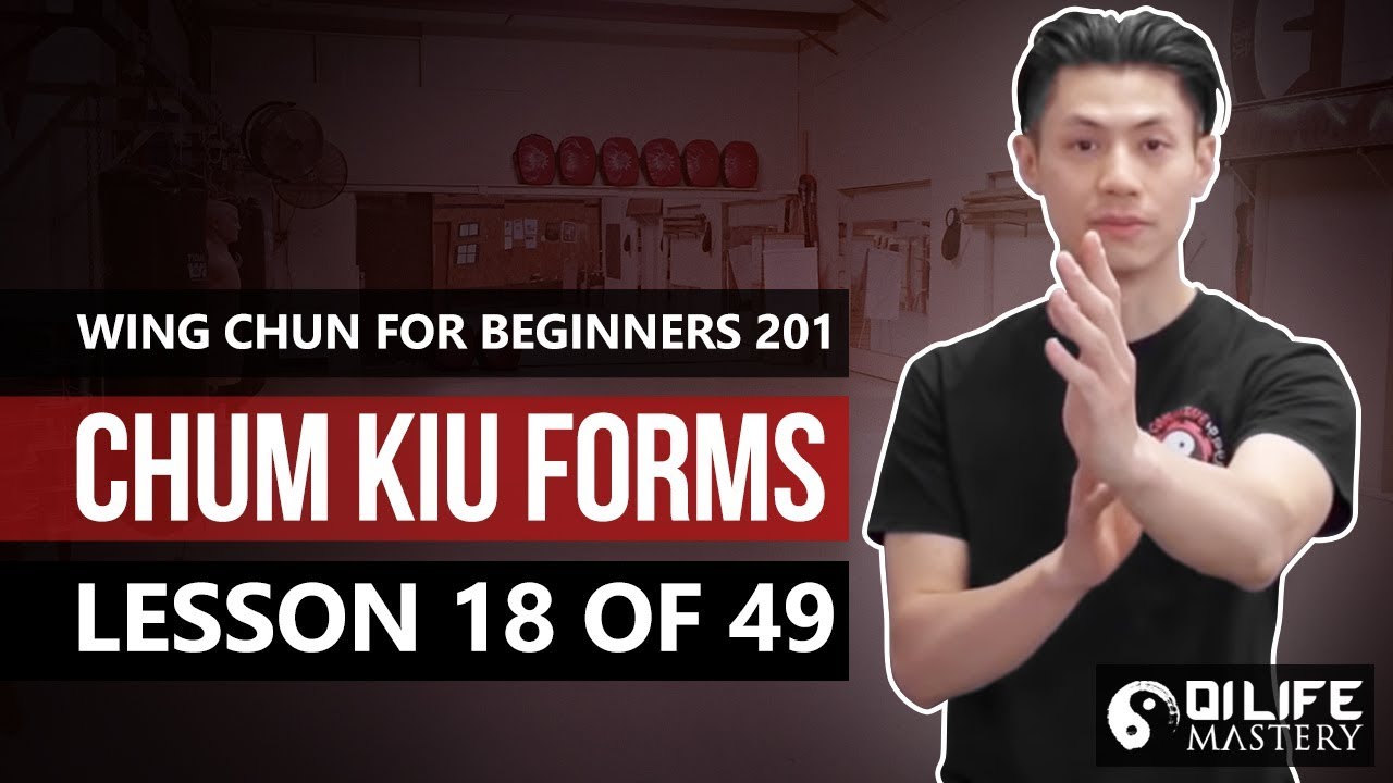 Wing Chun for Beginners 201 - Chum Kiu Form (Lesson 18 of 49) - YouTube