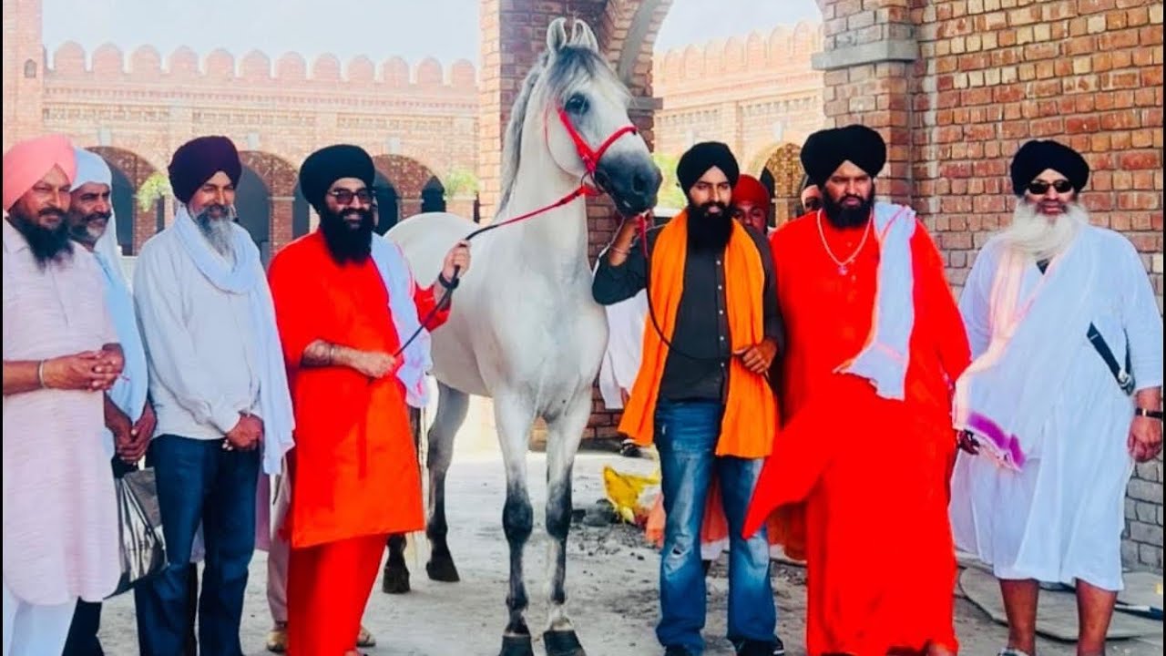 🌸 UDASIN STUD FARM 🌸 UDASIN BHARM AKHARA SAHIB MANDI 🙏 Sant Baba ...