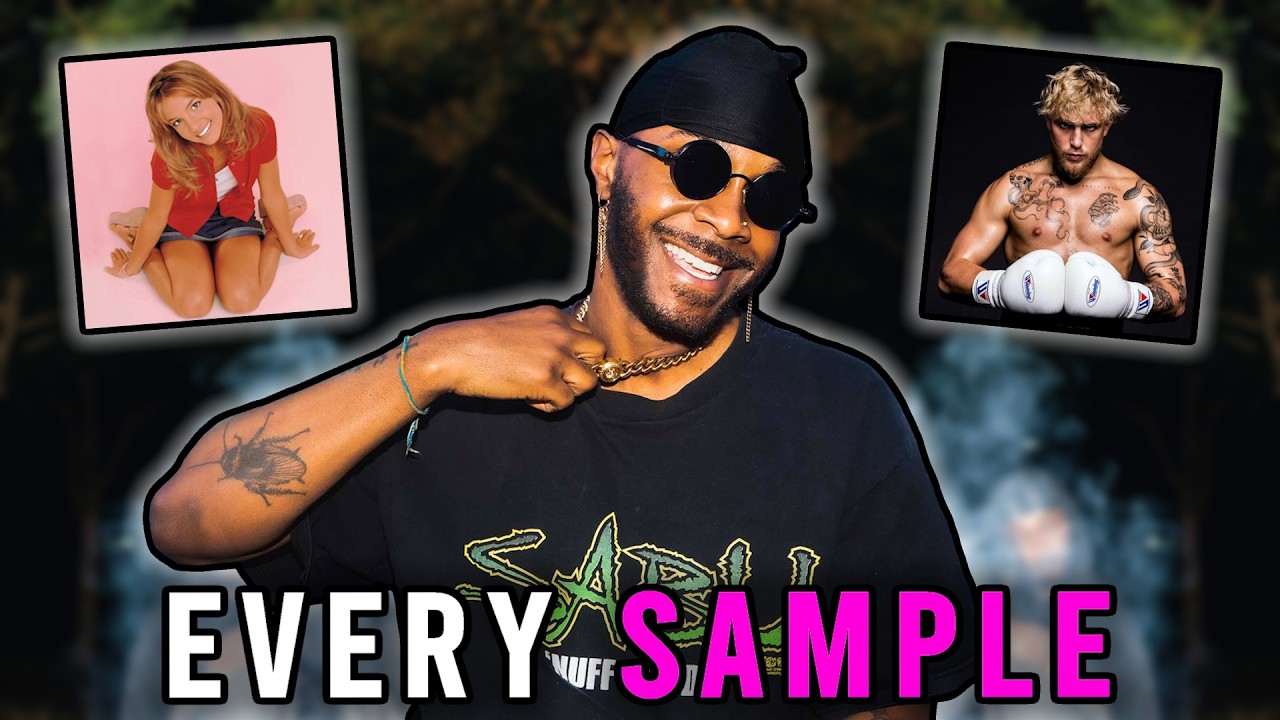 EVERY Sample On LP! By JPEGMAFIA (Offline Version) - YouTube