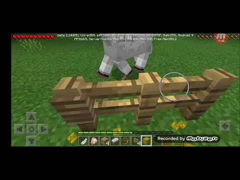 Animales? Minecraft 2 - YouTube