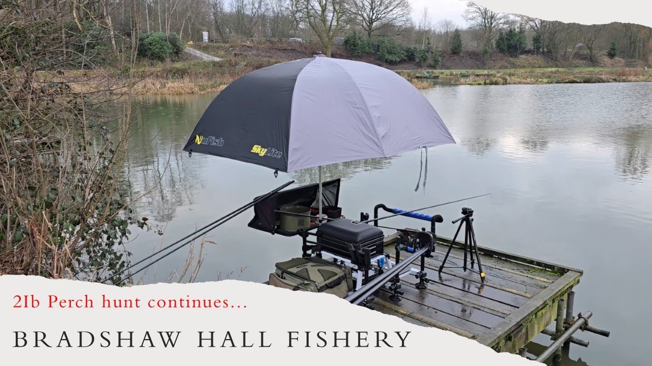 Bradshaw Hall Fishery Perch fishing - YouTube
