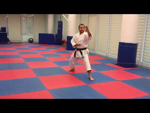 SARI KEMER KATASI-HEİAN NİDAN(SHOTOKAN STİLİ)