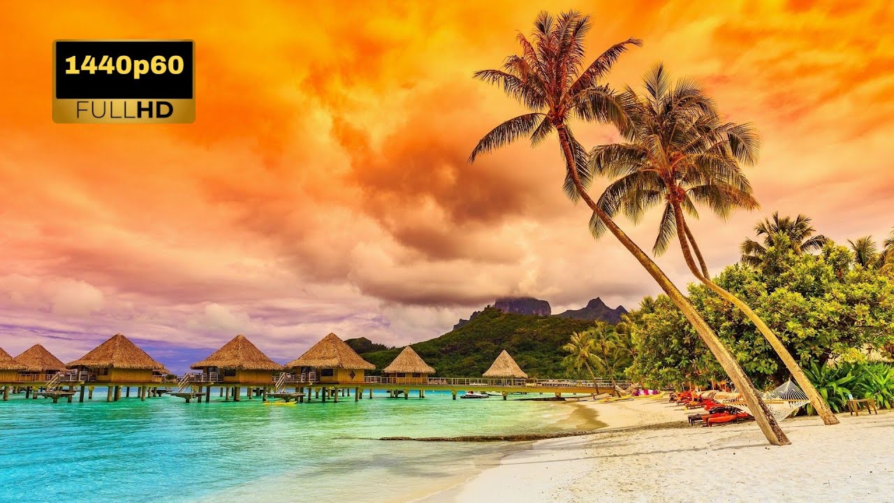 Free Background Video Loop | Beach Nature | Ultra HD - YouTube
