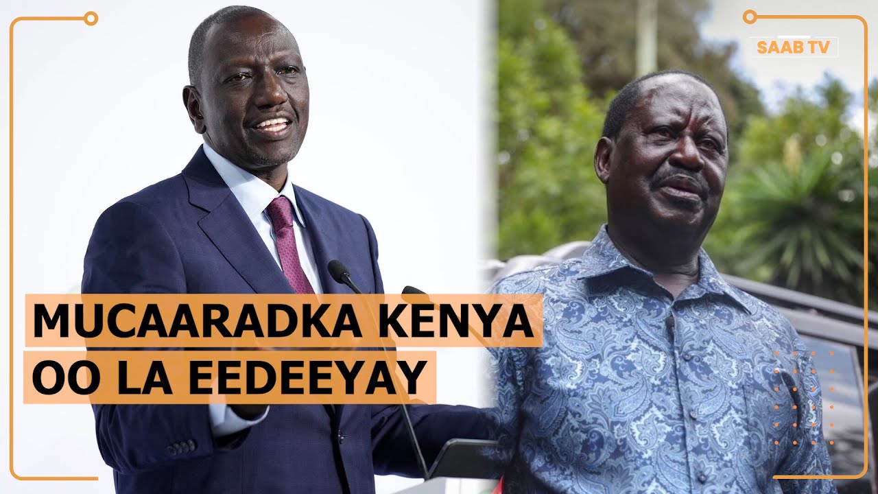 Madaxweynaha oo ku eedeeyay mucaaradka in aanay lahayn qorshe ...