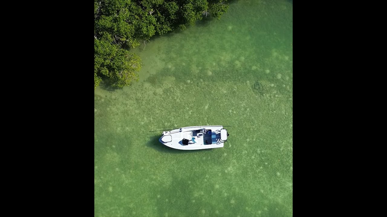 Bonefish 17 sneak peak. Get a quick introduction to what could be the ...