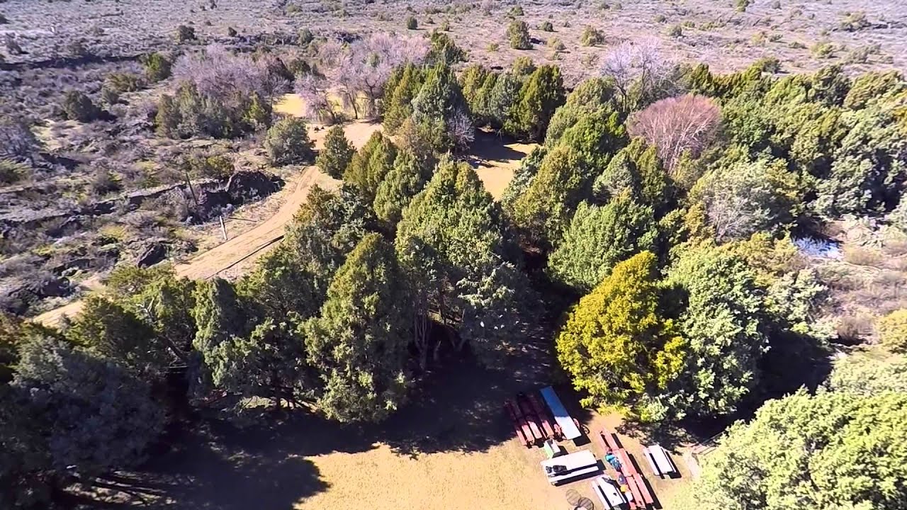 Sealander Park Icecapades - YouTube