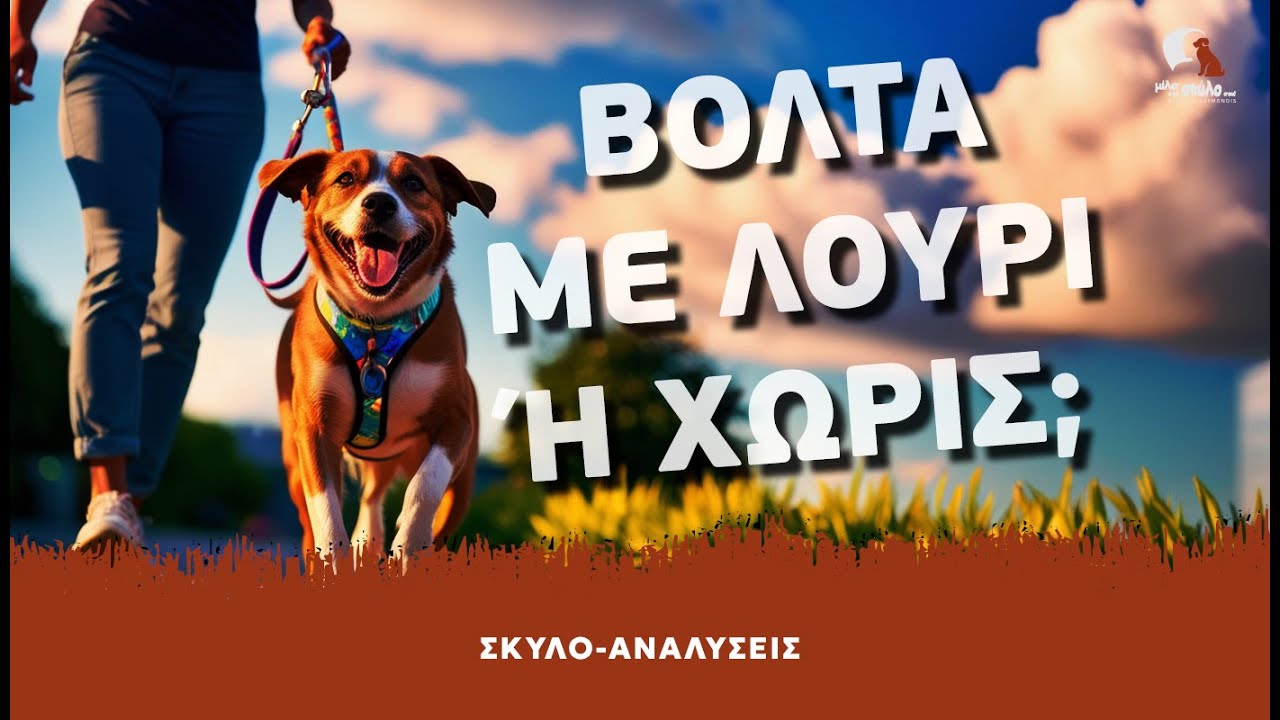 ΣΚΥΛΟ-ΑΝΑΛΥΣΕΙΣ - Βόλτα με λουρί ή χωρίς; | ΜΙΛΑ ΣΤΟ ΣΚΥΛΟ ΣΟΥ - YouTube