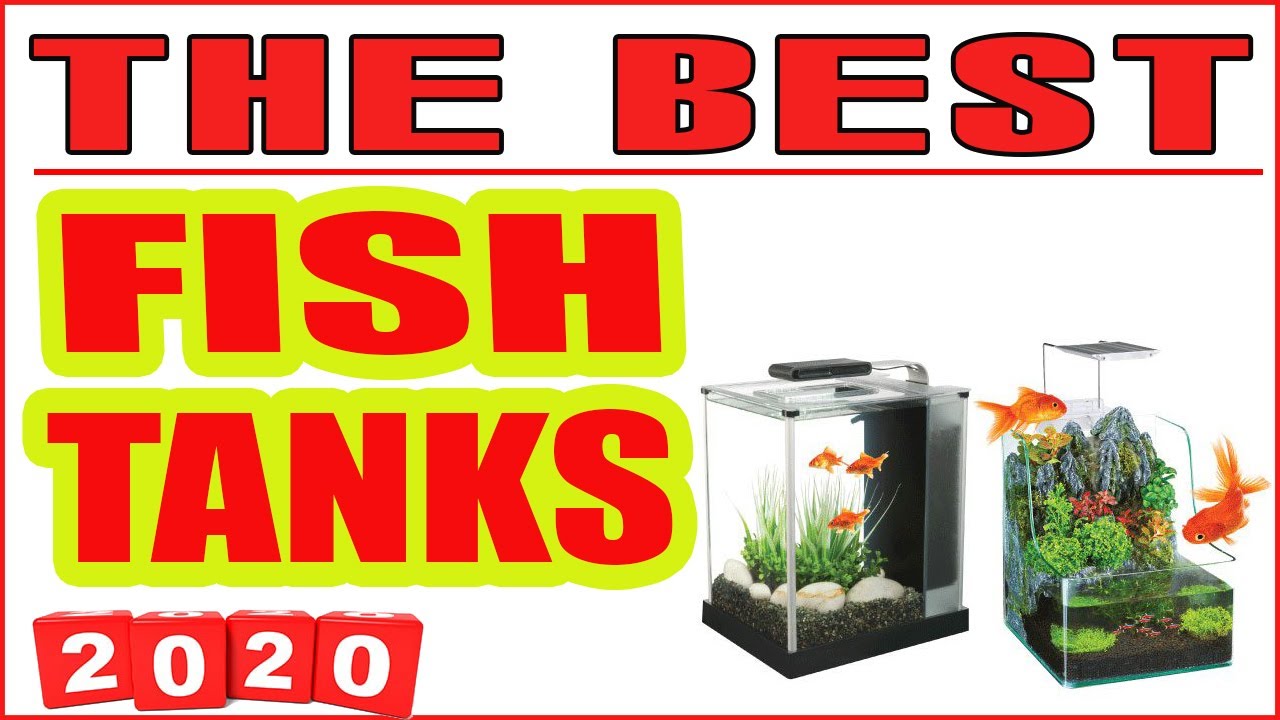 TOP 7: Best Cheap Fish Tanks 2020 - YouTube