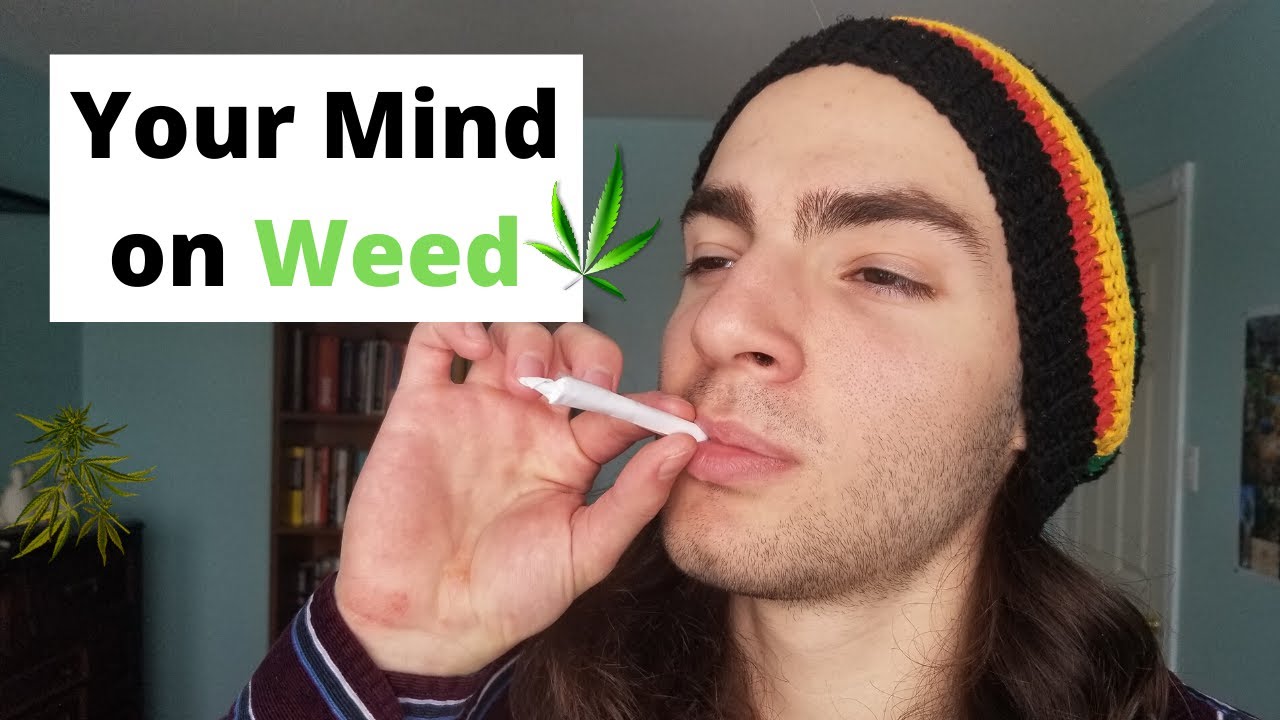 How Weed Affects your Mind and your Mental Clarity - YouTube
