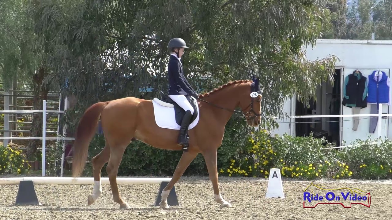 128D Hailey Weber on SE Gin Fizz Novice Dressage Copper Meadows March ...