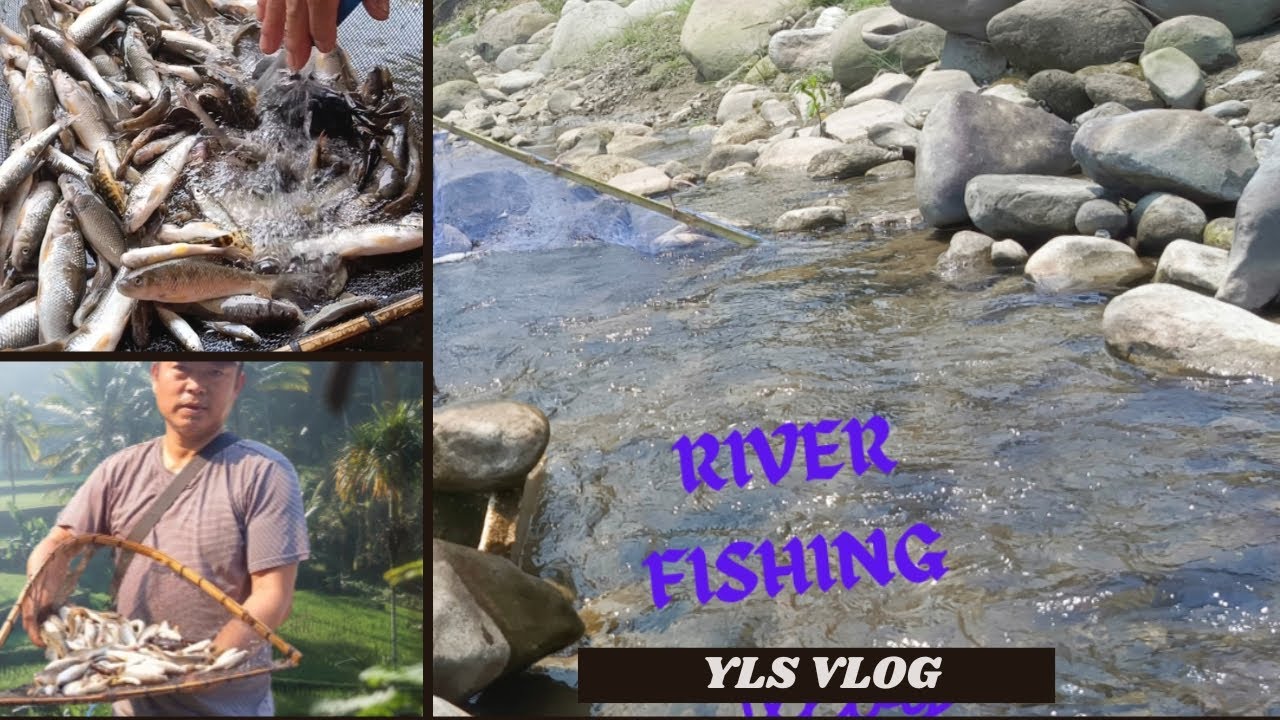 Thrilling fish catch in river/fishing adventures/Arunachal Pradesh ...