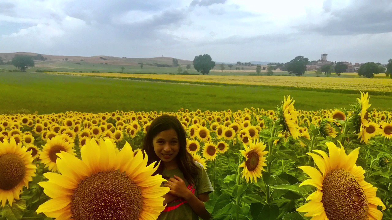 Via Francigena: The Italian Camino - YouTube