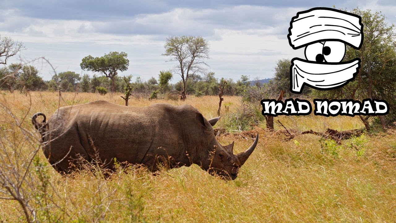 South Africa motorcycle trip, Part 4/4 - mad nomad - YouTube