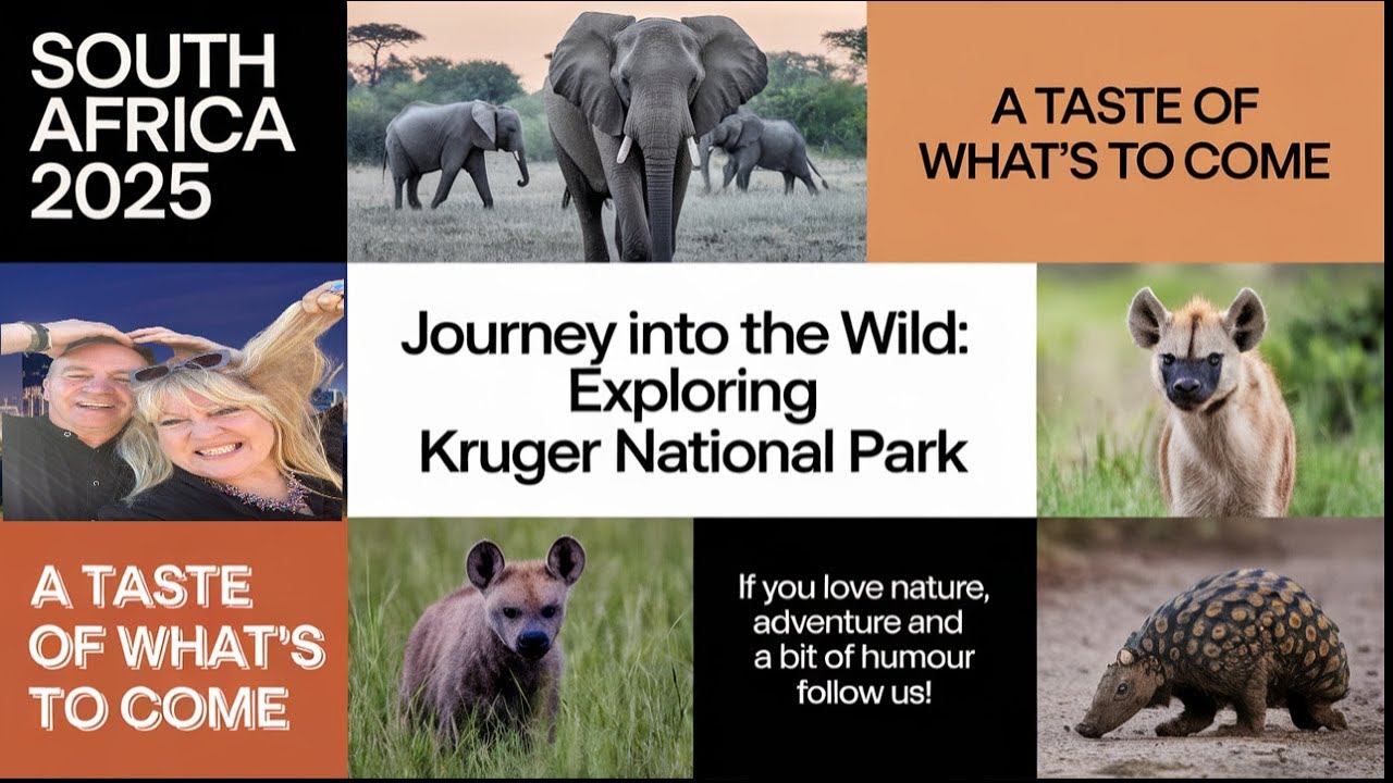 What Amazing Wildlife Will You Encounter At Kruger National Park? - YouTube