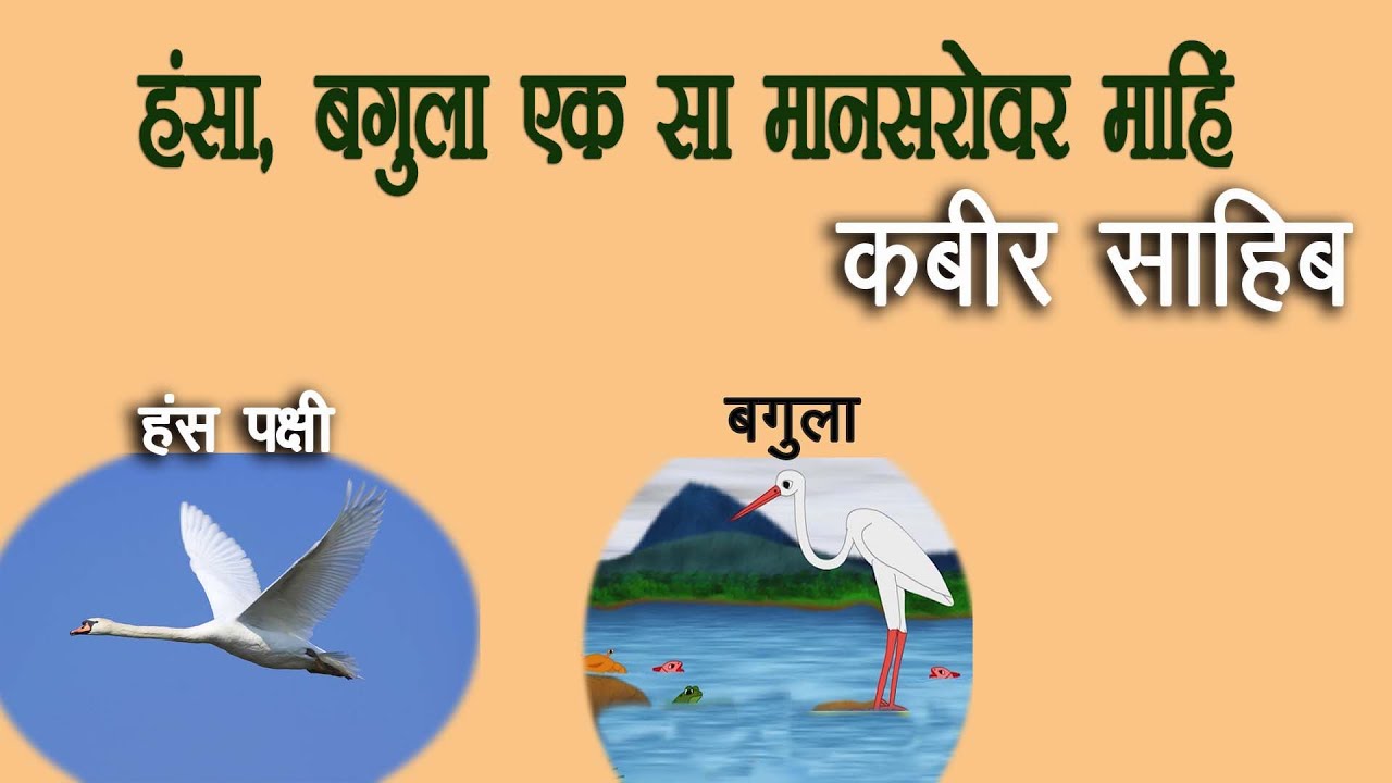 747. Hansa Bagula Ek Sa Mansarover Mahi - Kabir Sahib || Hans Pakshi ...