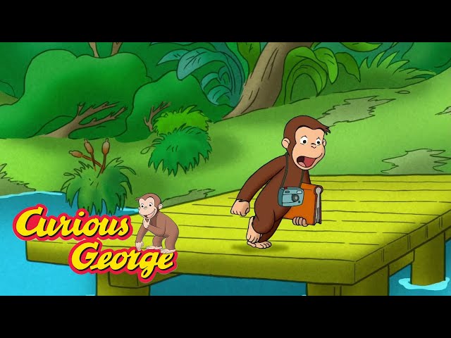 Dinosaur Footprints Curious George Kids Cartoon Kids Movies Videos for ...