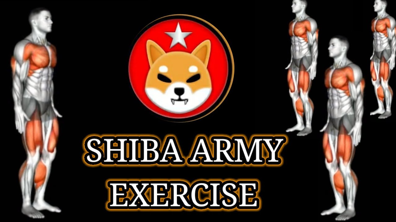 Shiba Army daily routine exercise 101| routine exercise |Shiba army ...