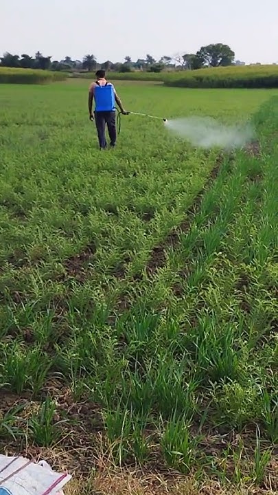 #farming #kishan #123kishan #voiceeffects #kisan #shortsfeed #nature #agriculture #shorts # ...