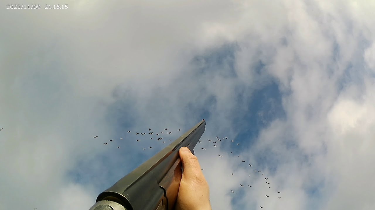 Pinkfoot Goose Pass Shooting Left & Right - 10 Gauge Over / Under - YouTube