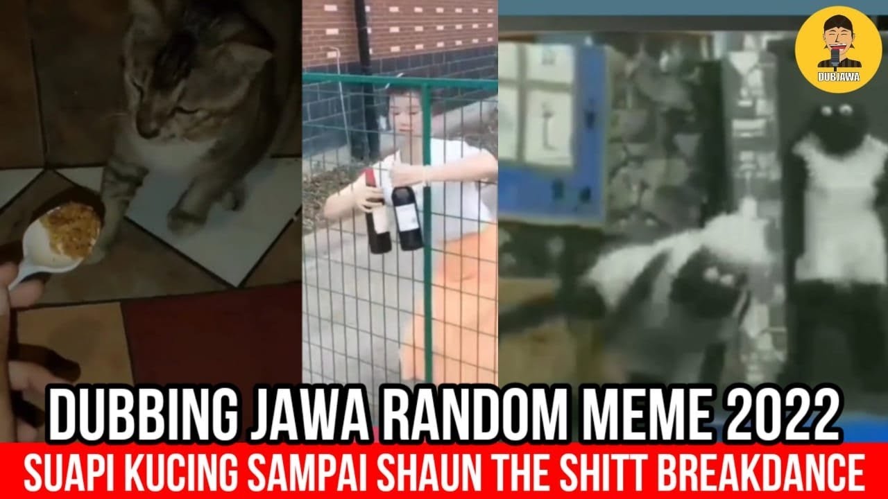 SUAPI KUCING SAMPAI SHAUN THE SHITT BREAKDANCE🗿| DUBBING REACTION MEME ...
