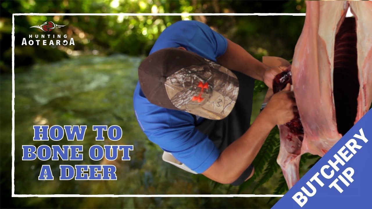 How to bone out a Deer - Hunting Aotearoa Tip - Part 4 - YouTube